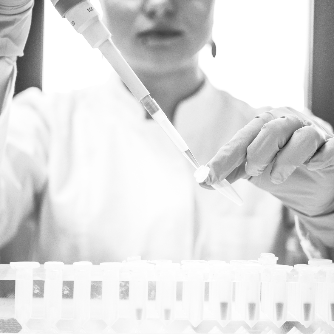 Sika case study | Severalnines